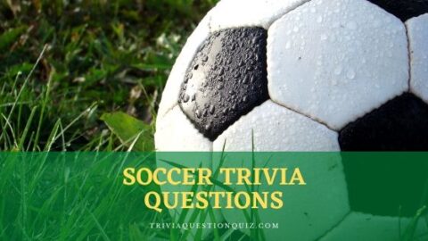 100 Jaw Dropping Soccer Trivia Questions for All - Trivia QQ